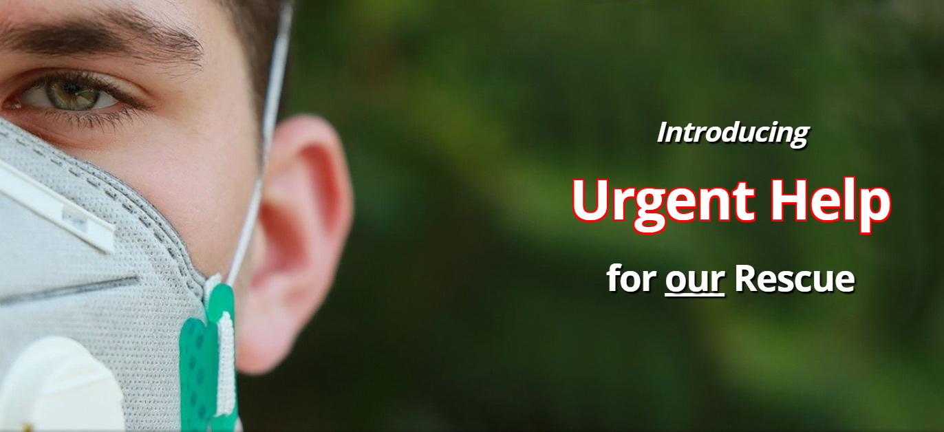 Urgent Help Fundraising for our Rescue