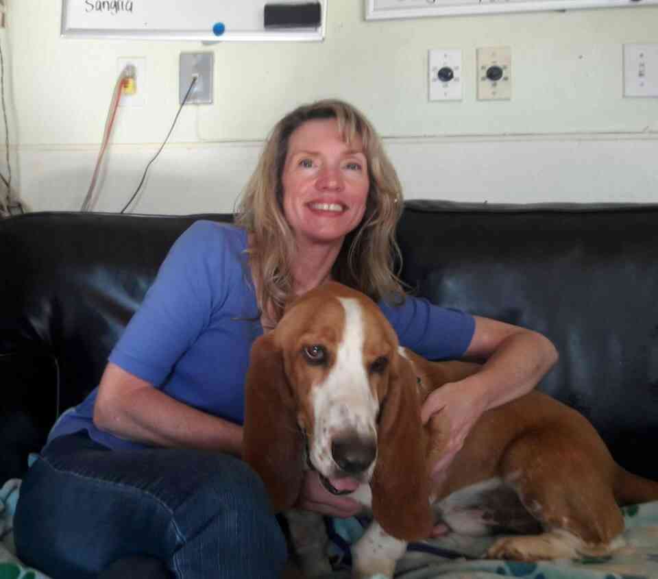 GIVING TUESDAY FOR DAPHNEYLAND
