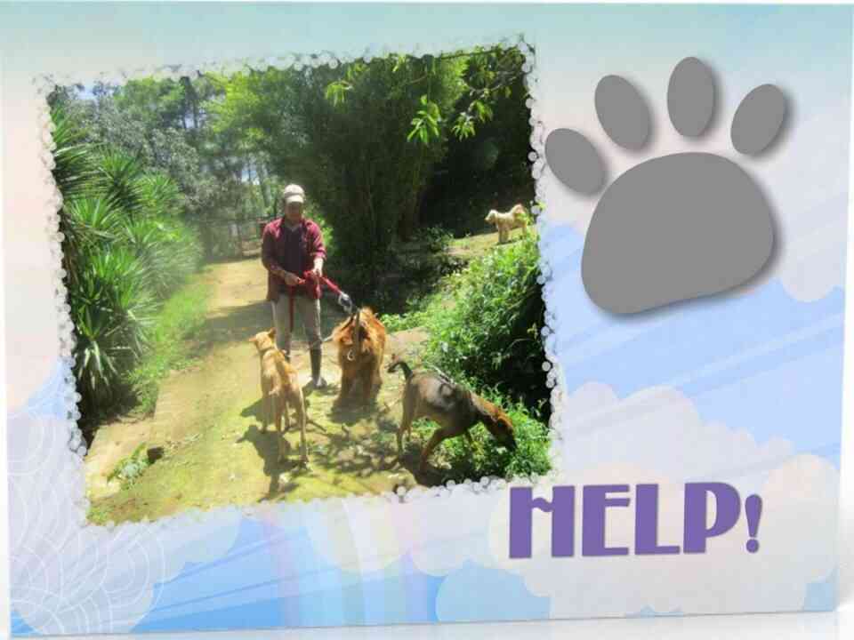 Animal Aware - January