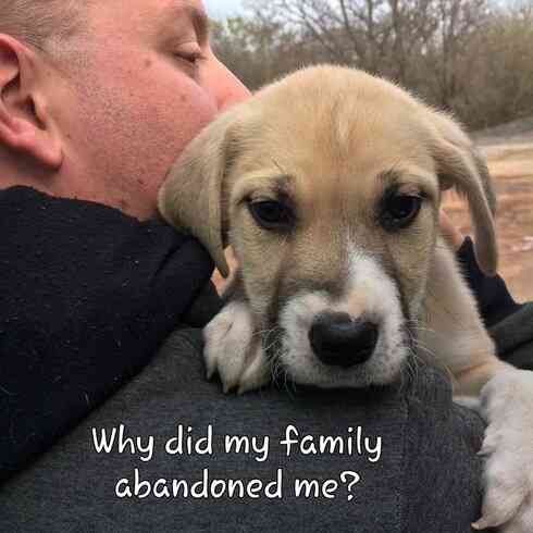 We can't make it without your help!