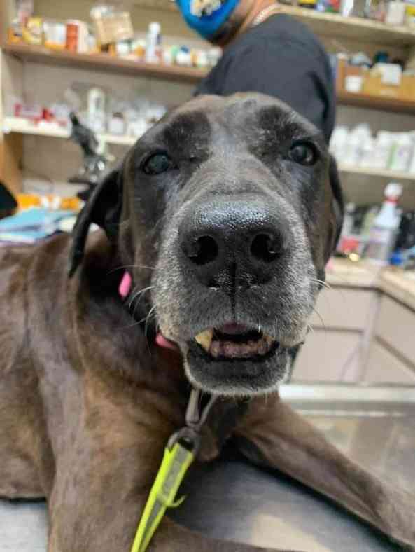 She couldn't be more messed up...