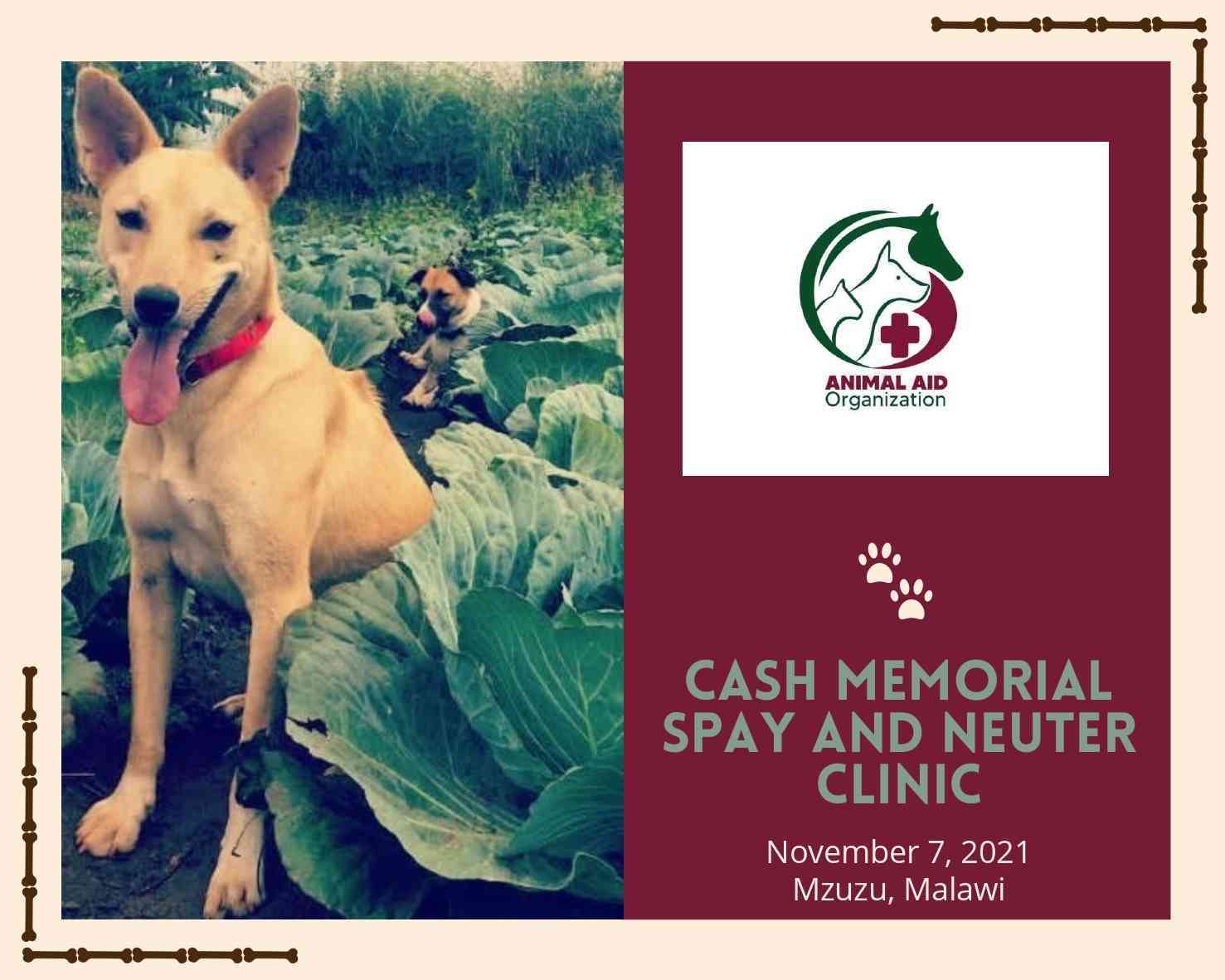 First Spay and Neuter Campaign