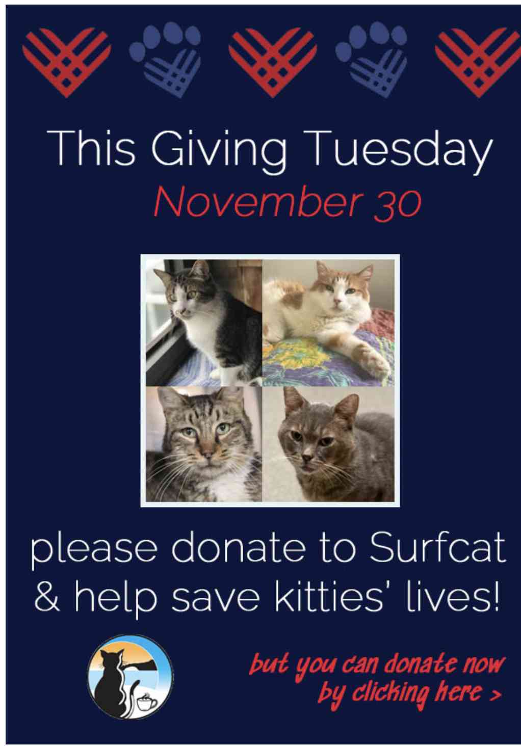 Surfcat loves our supporters!