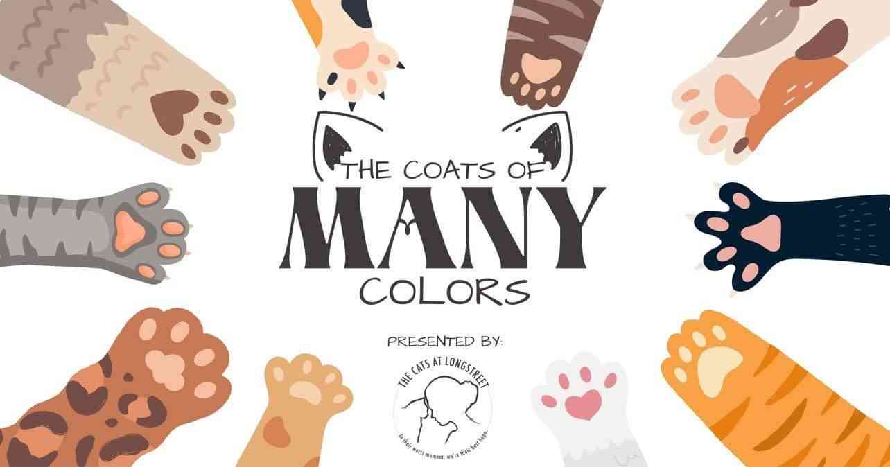 Coats of Many Colors!