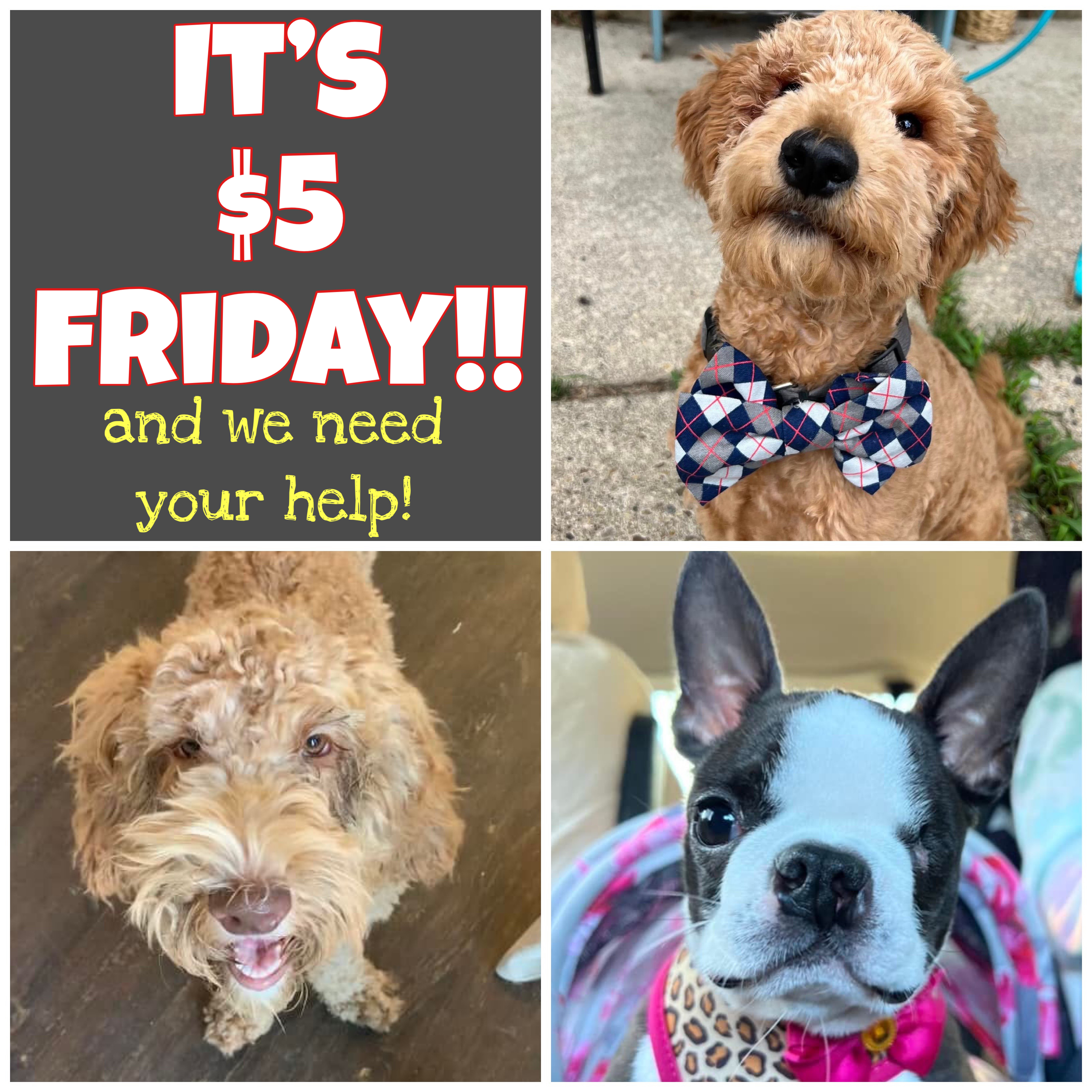 Five Dollar Friday