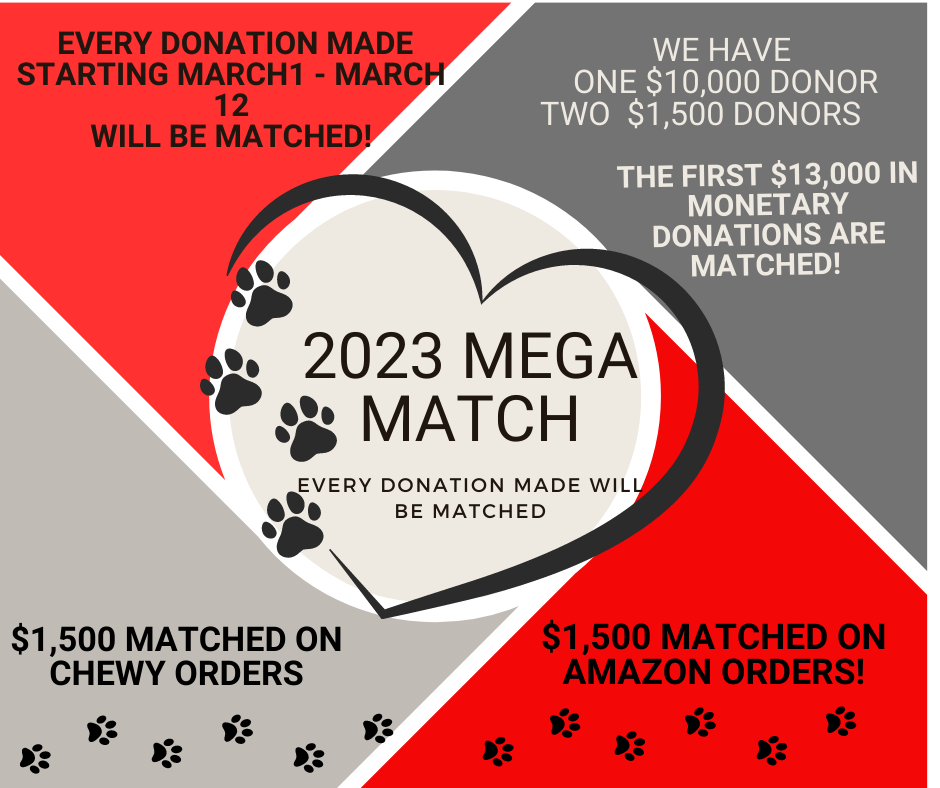 11th Anniversary Mega Match