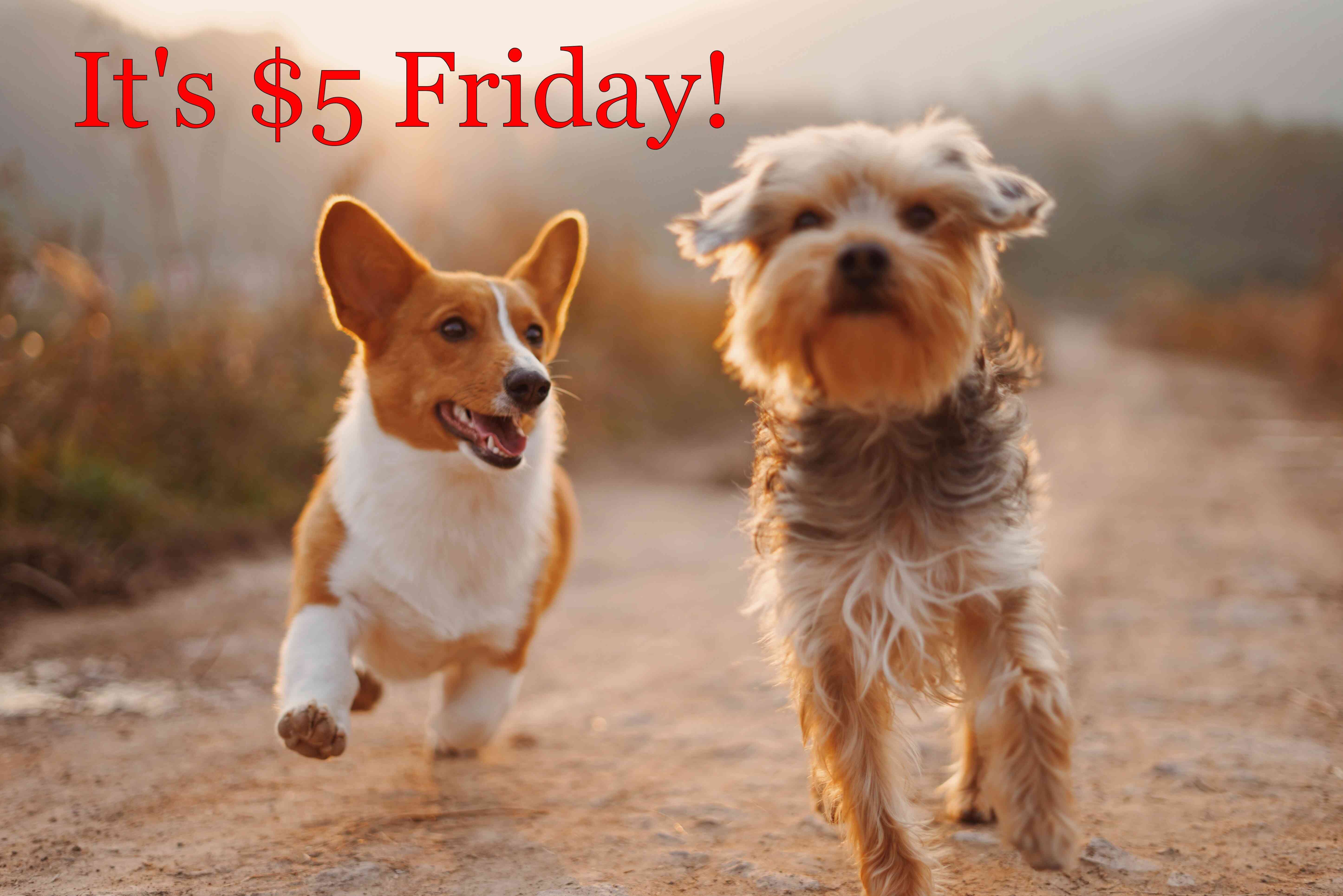 Five Dollar Friday