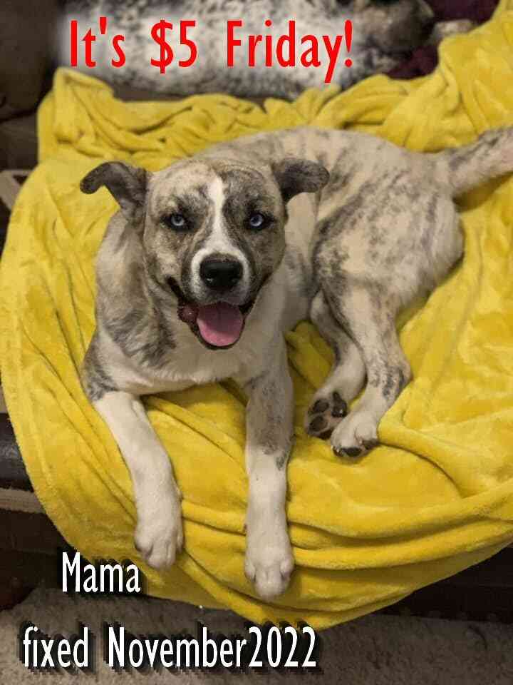 It's Five Dollar Friday!