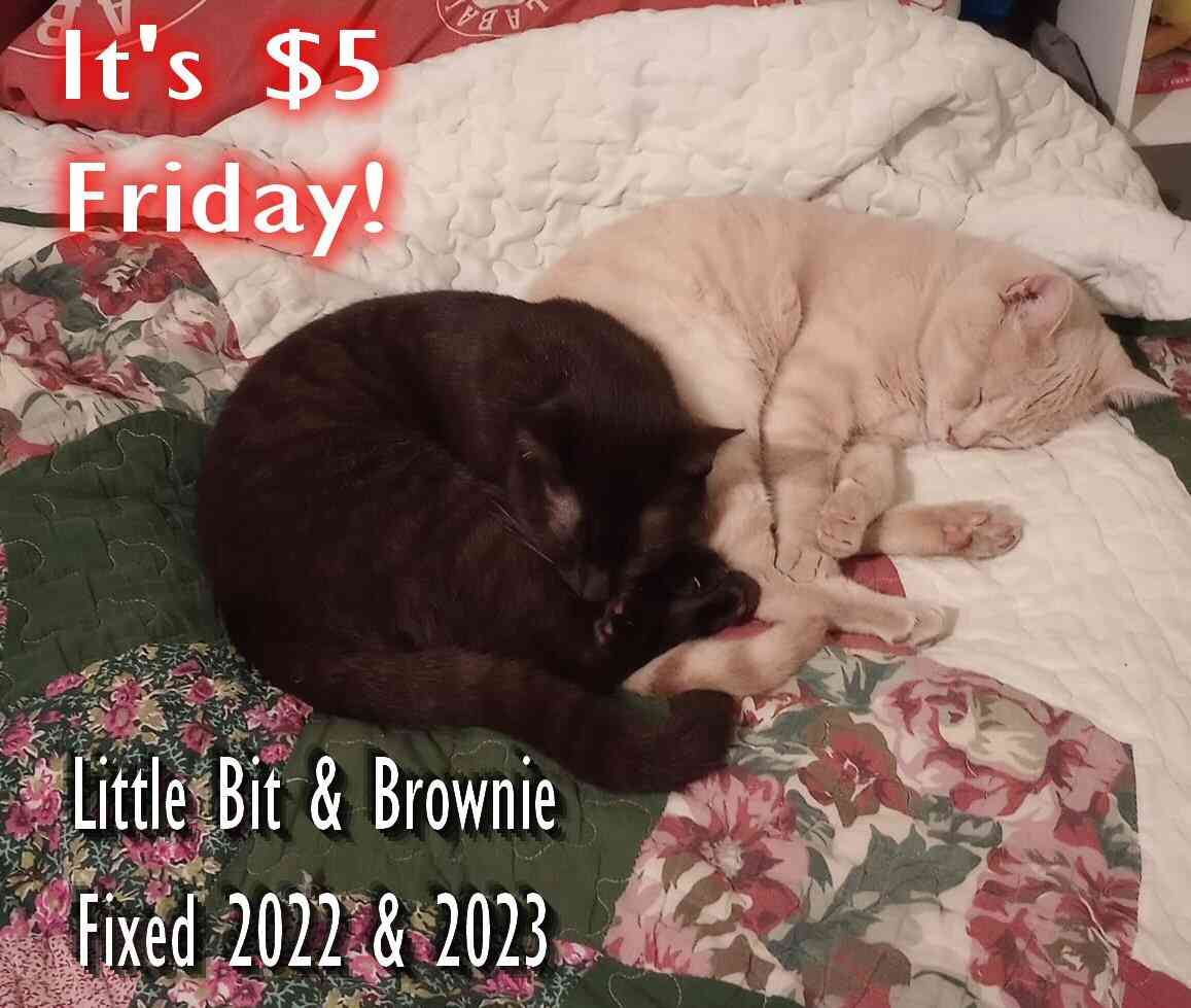 It's Five Dollar Friday!