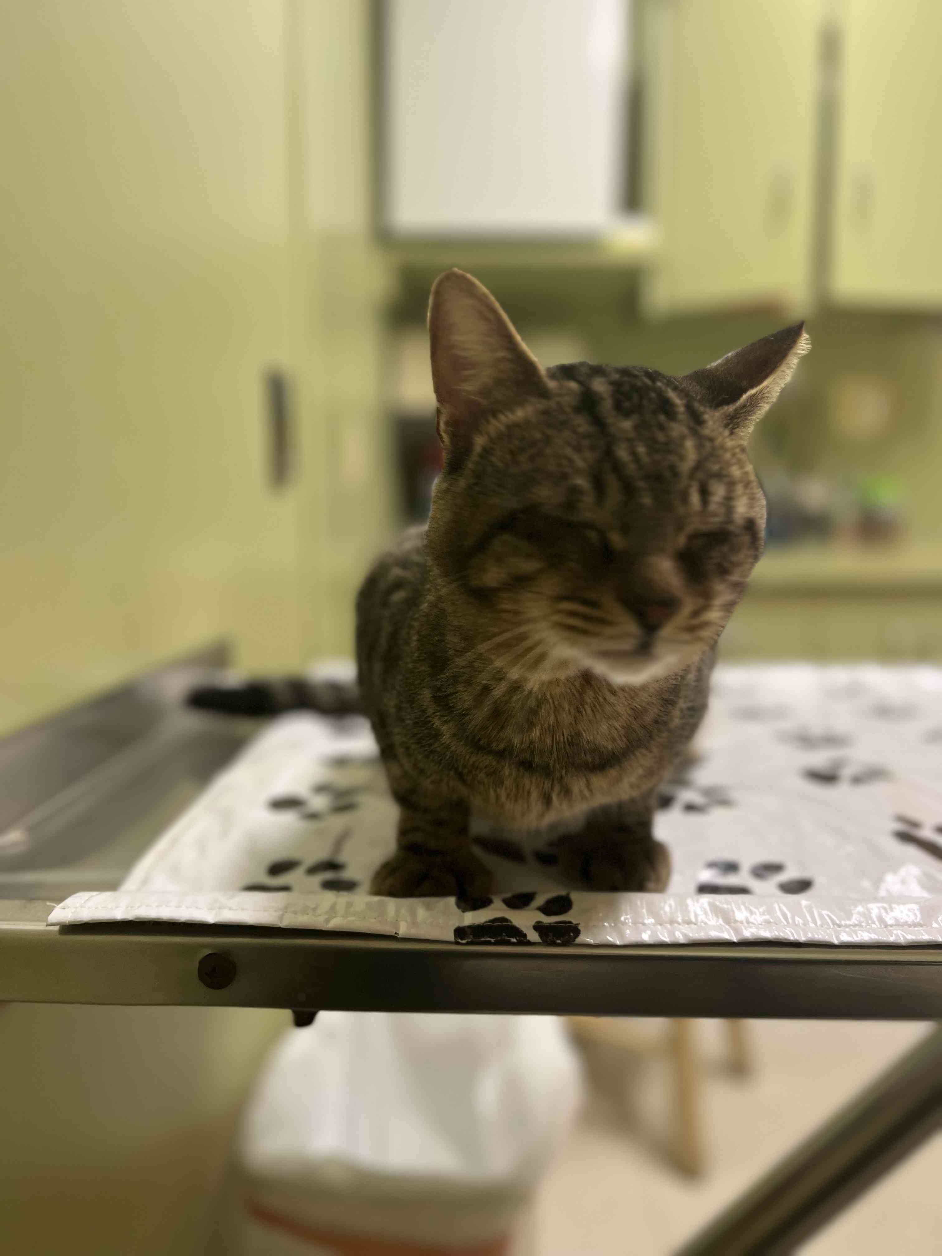 Help Gage Be Able to See