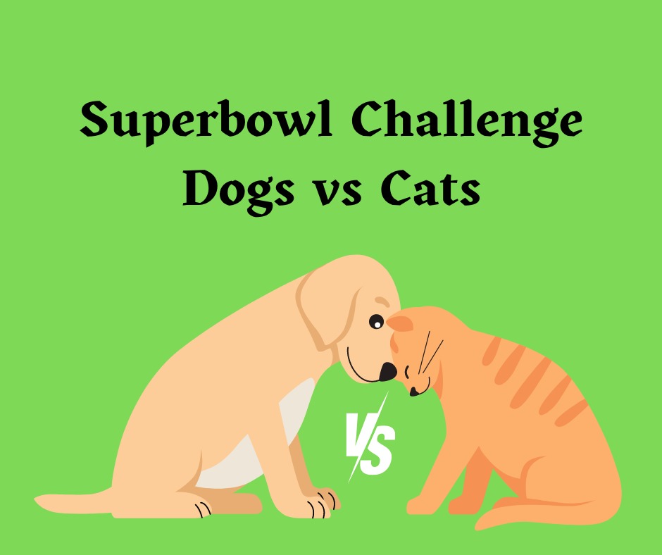 Superbowl Challenge Dogs vs Cats