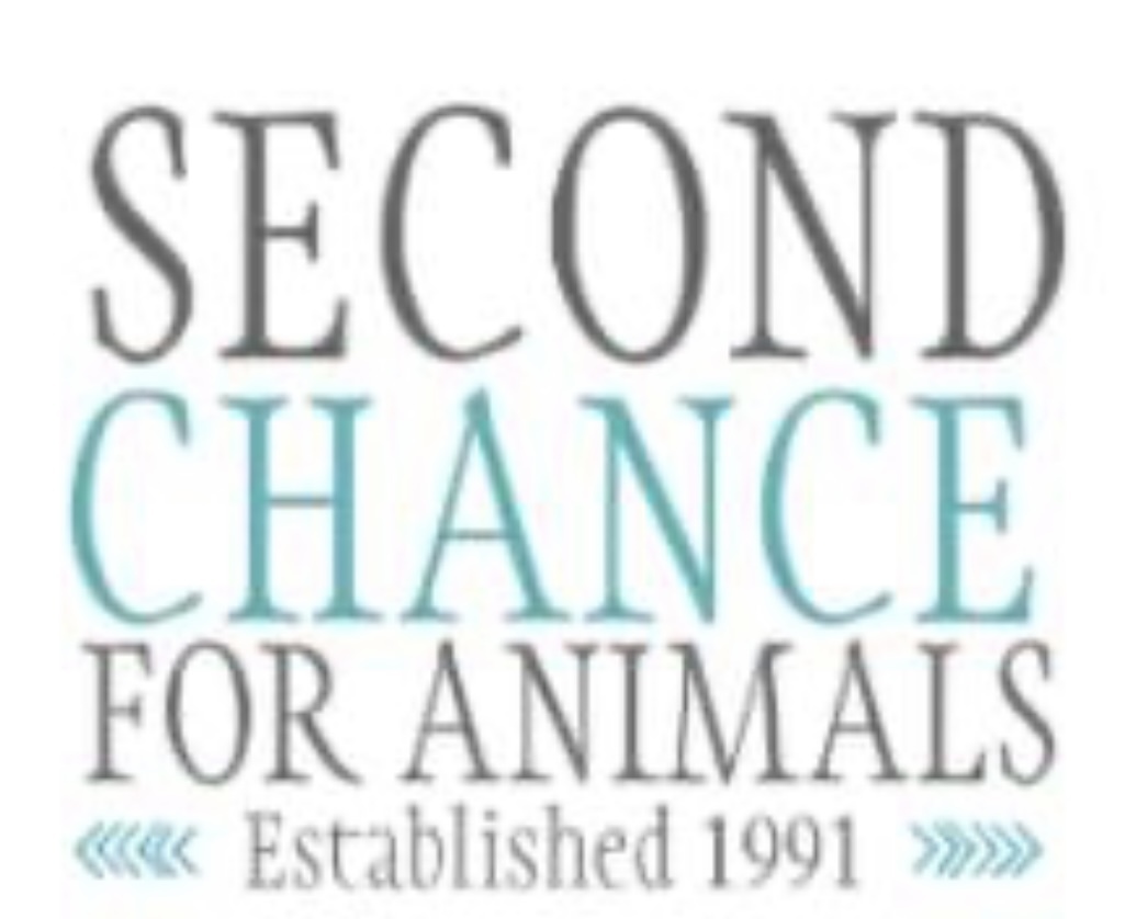 Love for Second Chance rescue animals