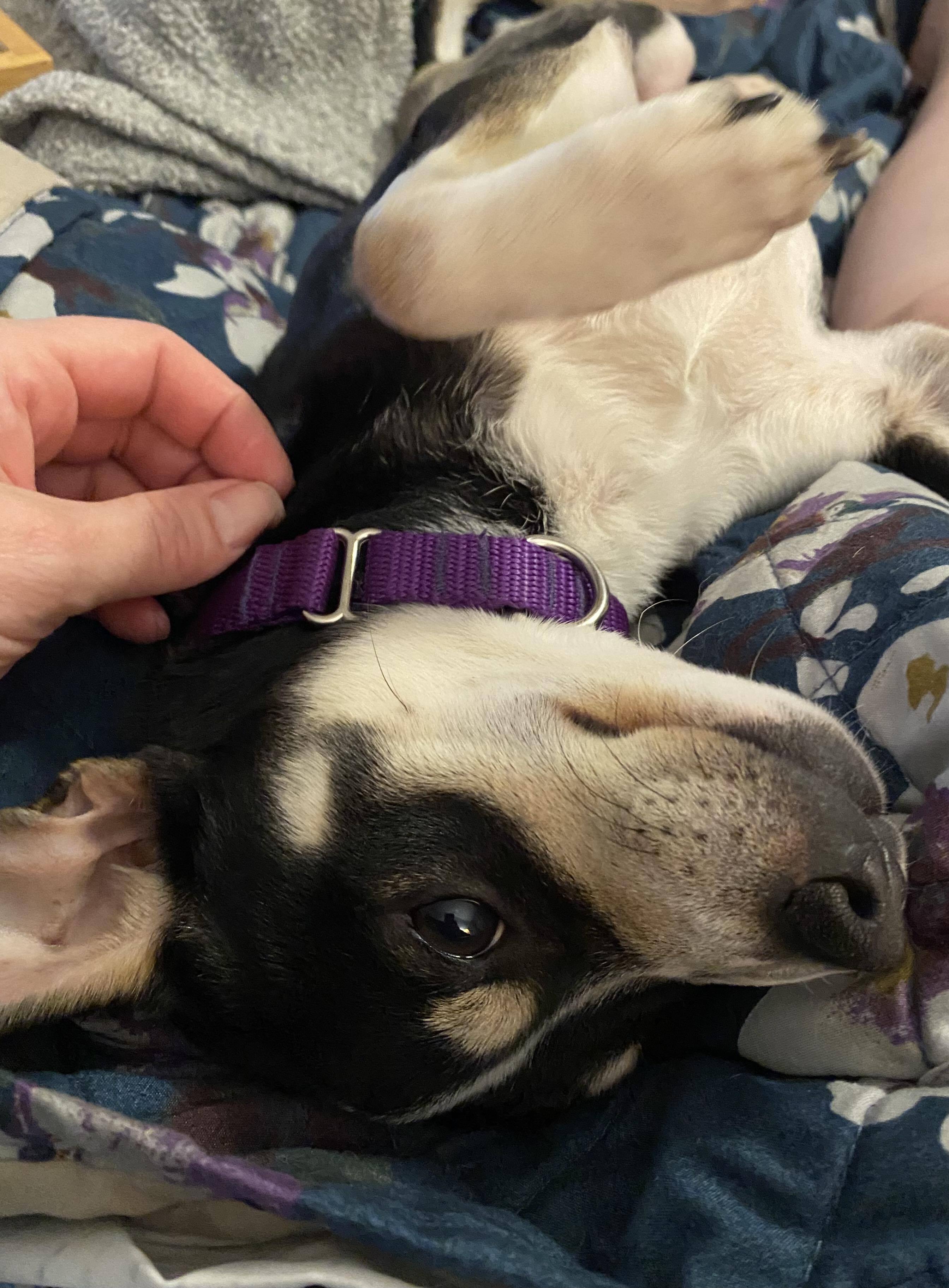 $5 Friday - Wesley Is Fighting to Walk