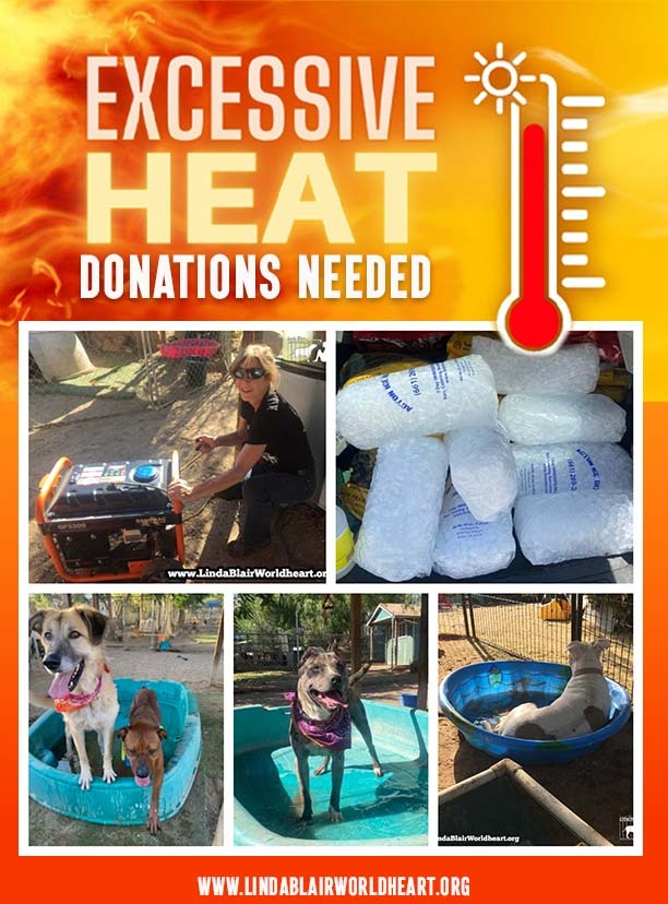 LBWF Emergency Fundraiser