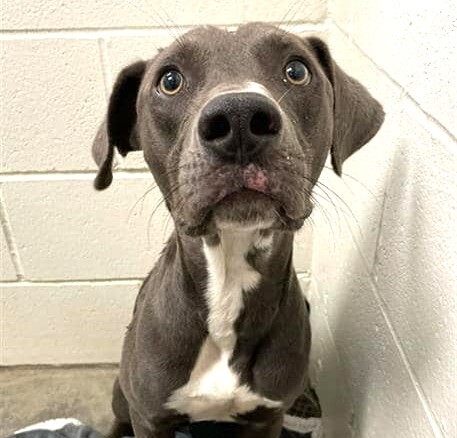 Another awful burn victim! 💔