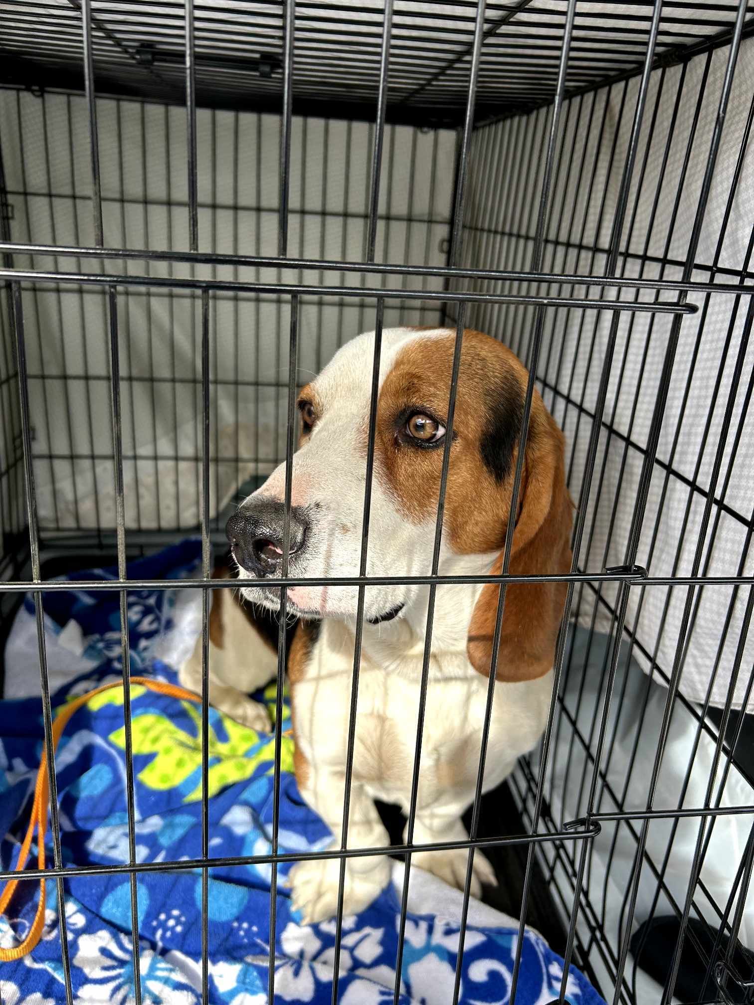 Mr. Otis has no regets