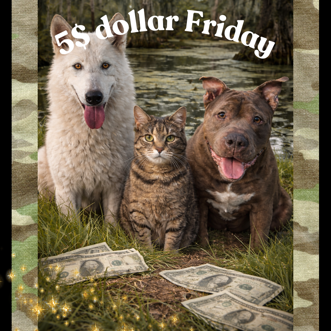 Five Dollar Friday