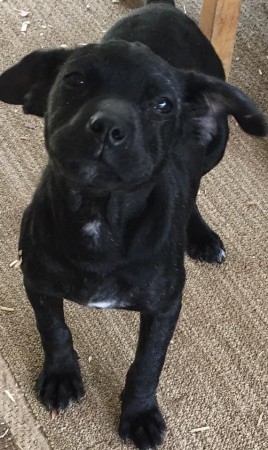 Tips 4 Snips n Clips