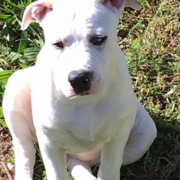 Tips 4 Snips n Clips