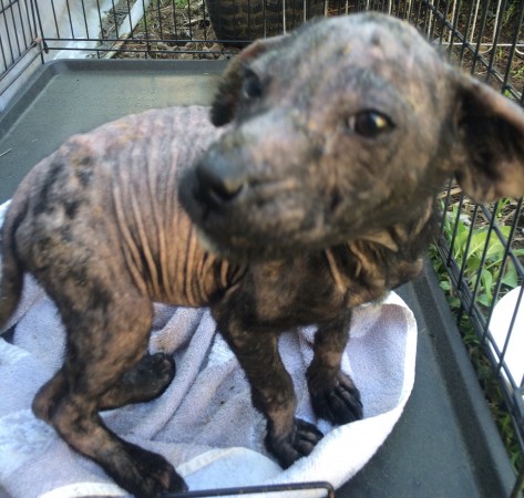 Tips 4 Snips n Clips