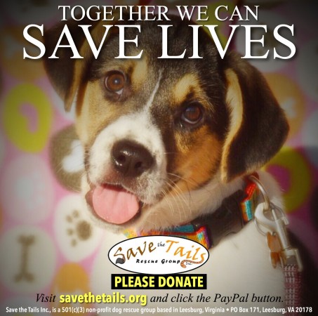 Together We Can Save Lives