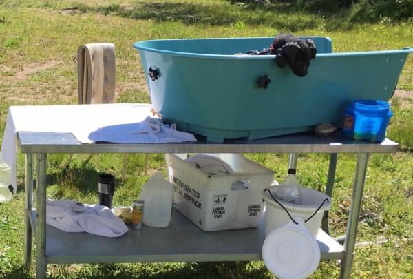 Tips 4 Snips n Clips